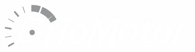 Carryingg plus CHR 3.2 - Briomotor